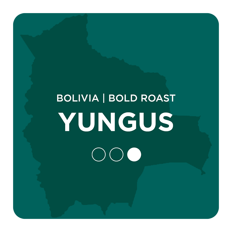 Yungus | Bolivia | Alternative Grounds Coffee Roasters